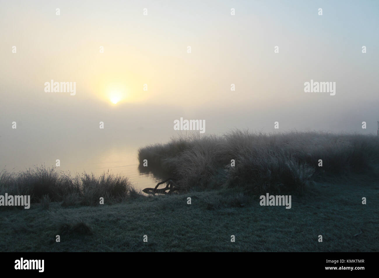 First hard frost of the Winter hits Richmond Park. Featuring ...