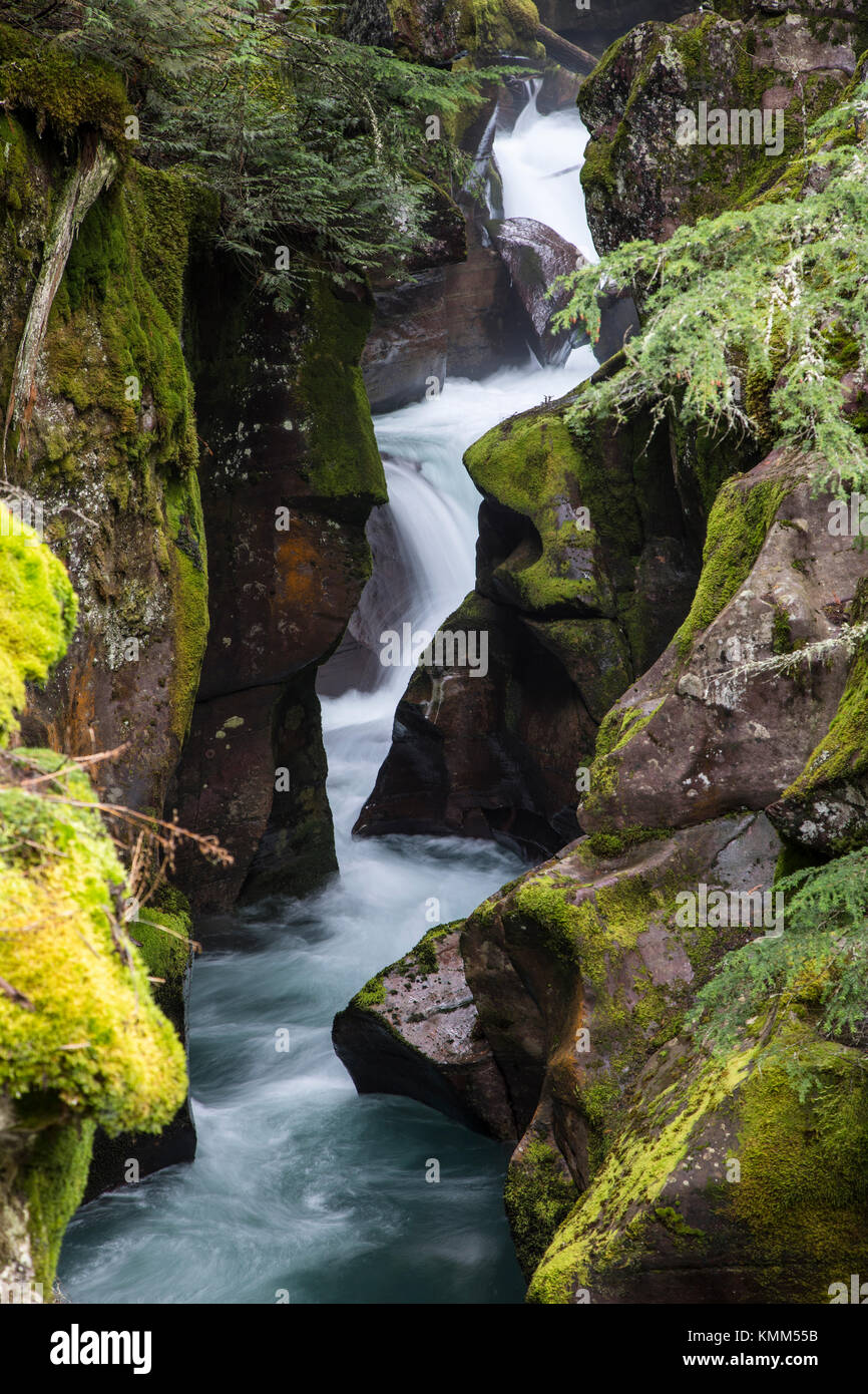 Water flows down the Avalanche Gorge waterfall at the Glacier National ...