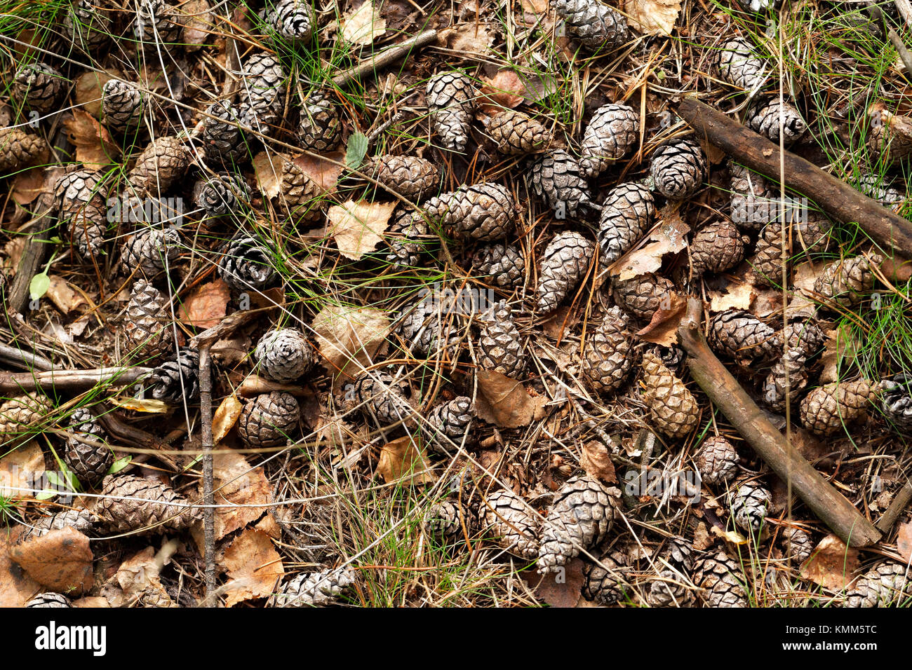 Soil texture background hi-res stock photography and images - Alamy