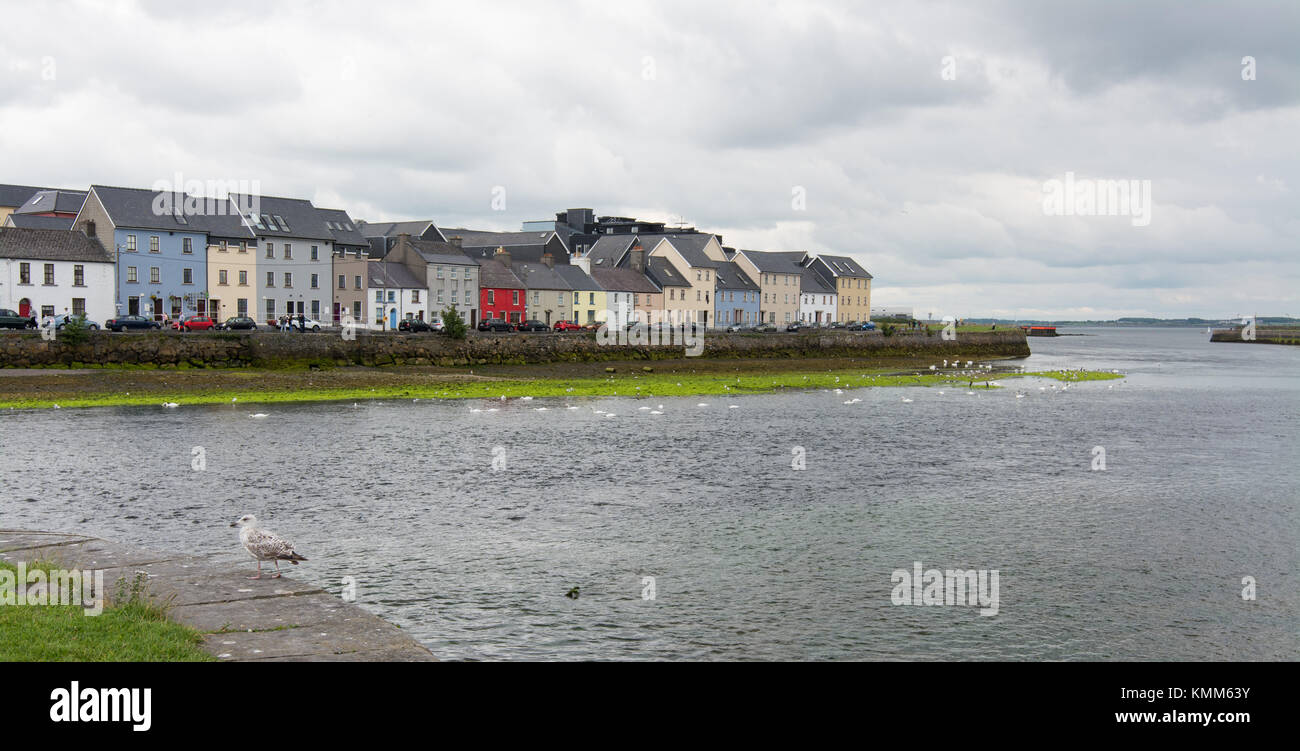 Landscapes of Ireland. Galway city and Corrib river Stock Photo - Alamy