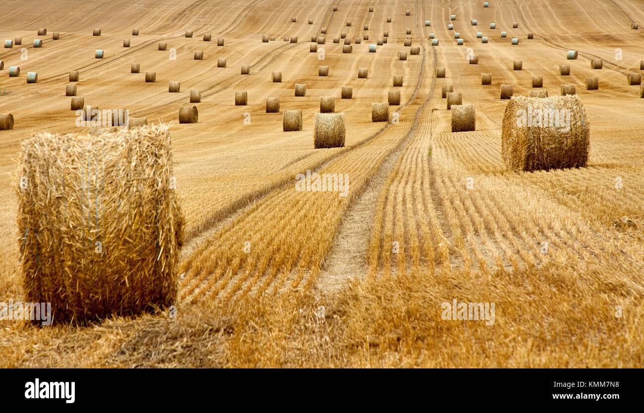 Straw bales stubble field hi-res stock photography and images - Alamy