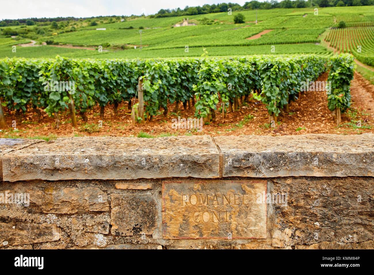 Romanee Conti High Resolution Stock Photography and Images - Alamy