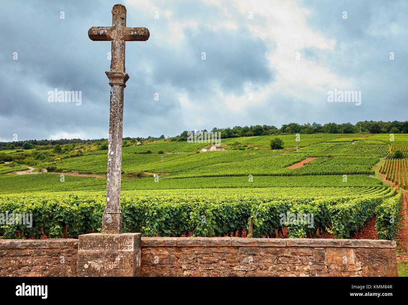 Romanee Conti High Resolution Stock Photography and Images - Alamy