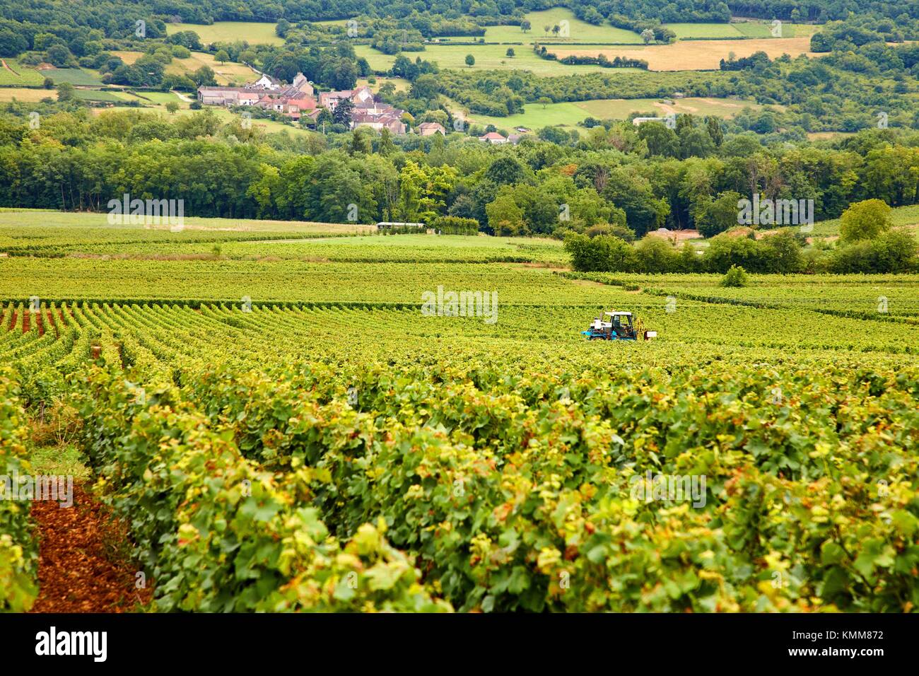 Santenay Burgundy Bourgogne High Resolution Stock Photography and ...