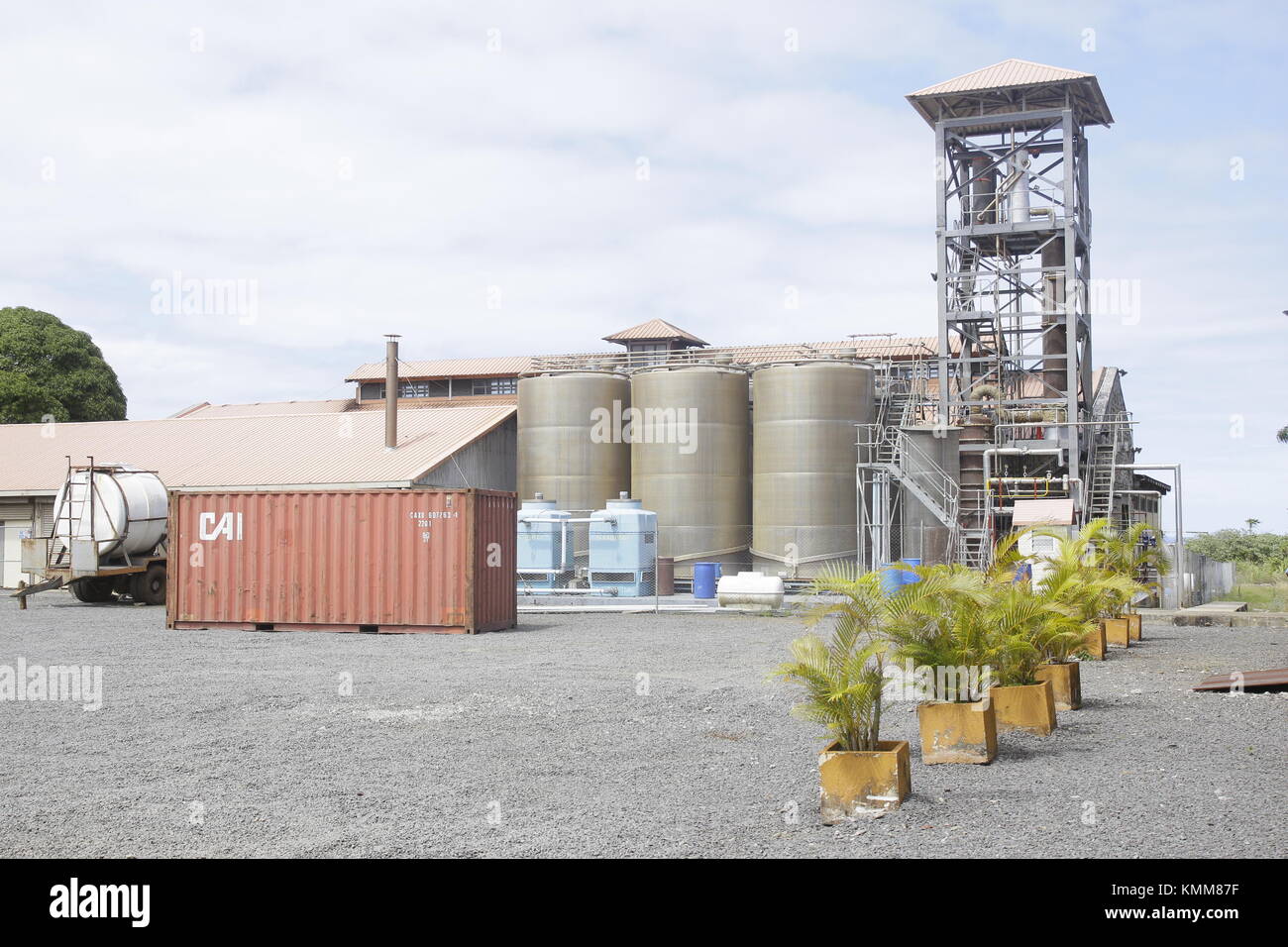 The Artisanal Distillery, The sugar cane that goes into their making is ...