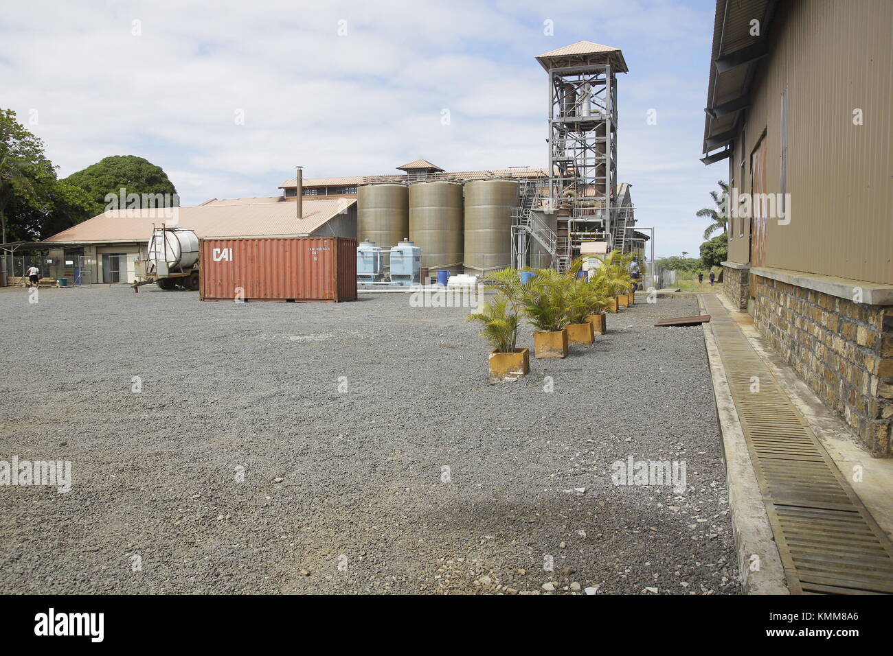 The Artisanal Distillery, The sugar cane that goes into their making is ...
