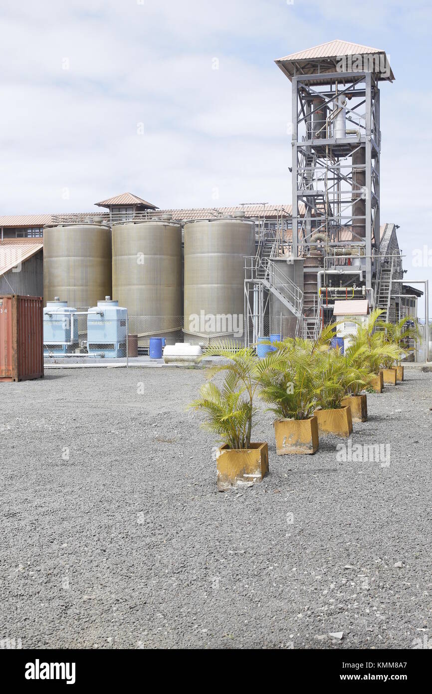 The Artisanal Distillery, The sugar cane that goes into their making is ...