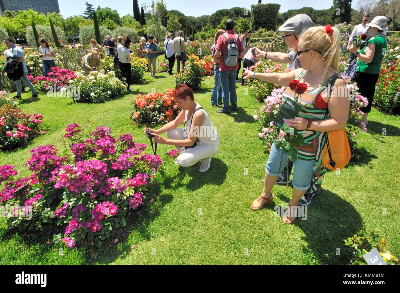 Parc de cervantes barcelona hi-res stock photography and images - Alamy