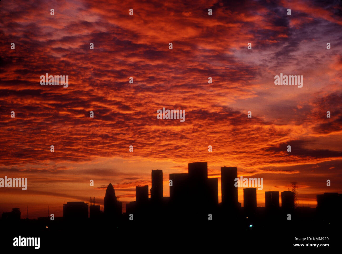 A view of the Sunset in downtown Los Angeles, California. Photo by ...