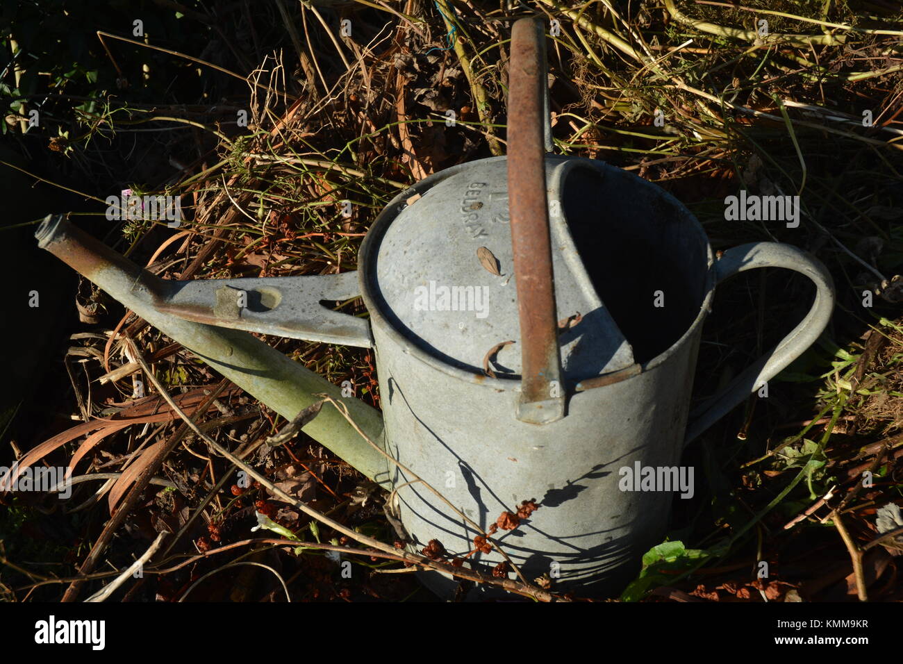 Old galvanised watering can hi-res stock photography and images - Alamy