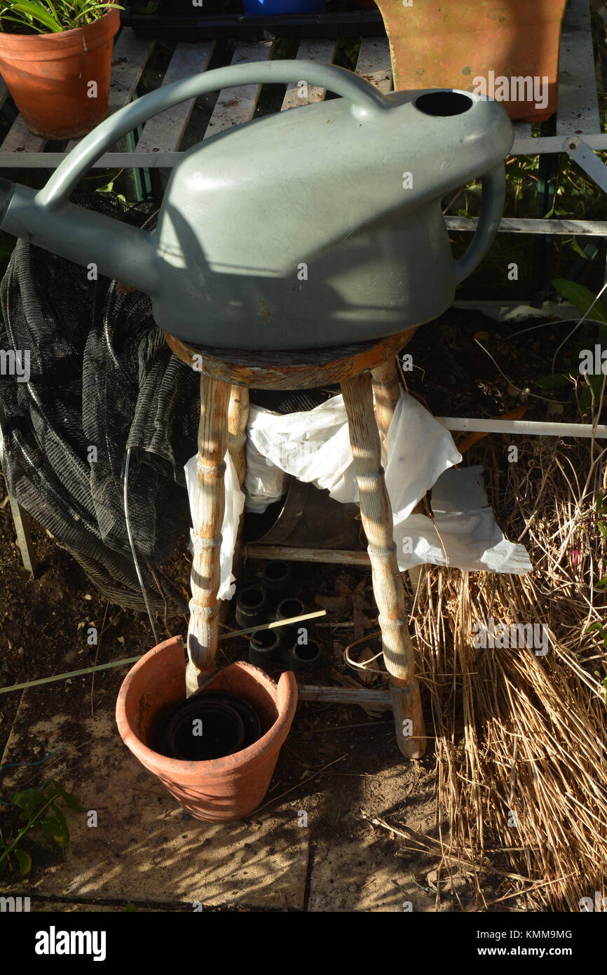 Messy greenhouse hi-res stock photography and images - Alamy