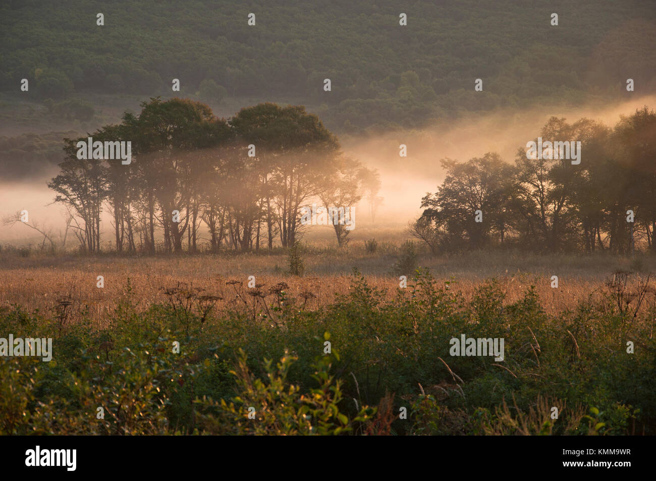 Russia far east dark landscape hi-res stock photography and images - Alamy