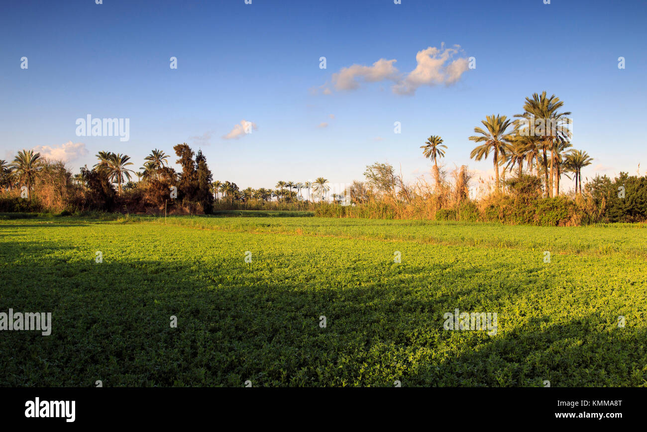 Beautiful nature country - Egypt Stock Photo - Alamy