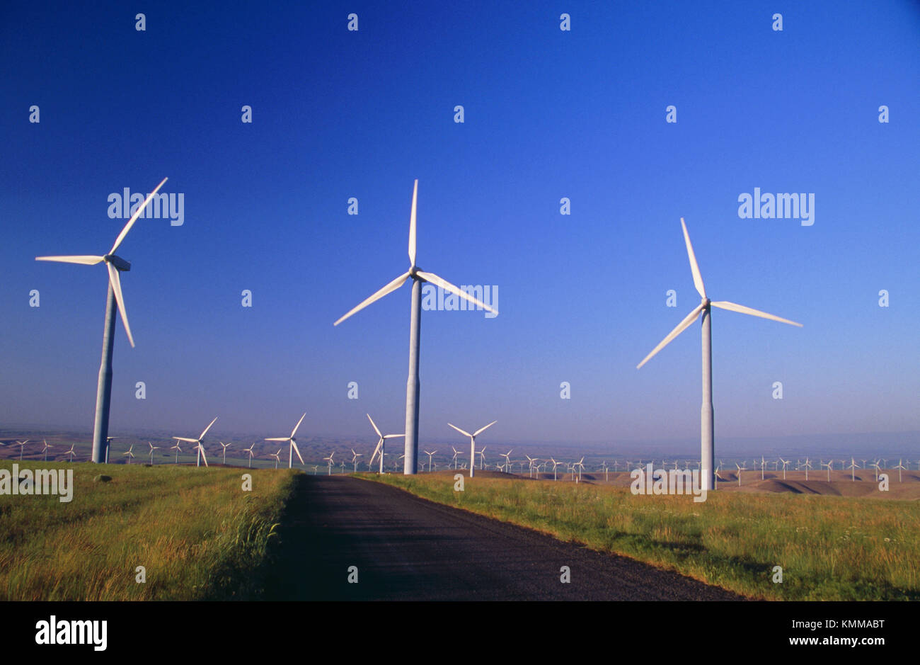 Agriculture project united states hi-res stock photography and images ...