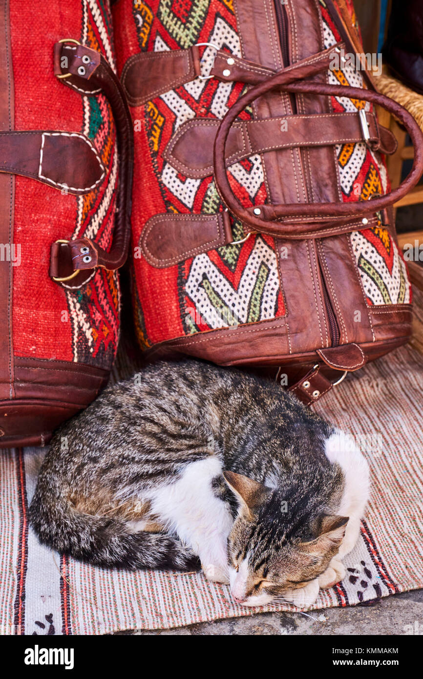 Morocco, Rif area, Chefchaouen (Chaouen) town, the blue city, street ...