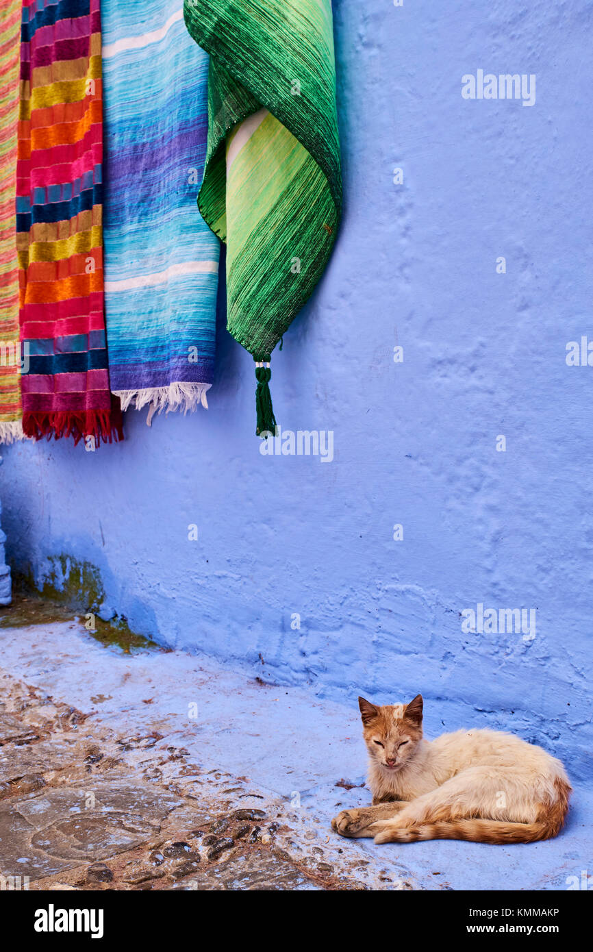 Morocco, Rif area, Chefchaouen (Chaouen) town, the blue city, street ...