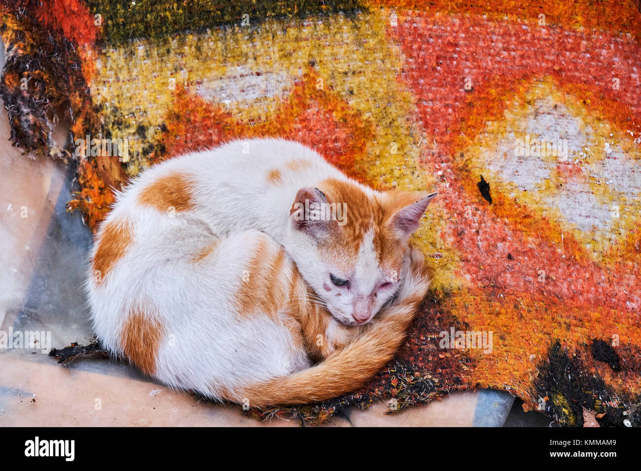 Morocco, Rif area, Chefchaouen (Chaouen) town, the blue city, street ...