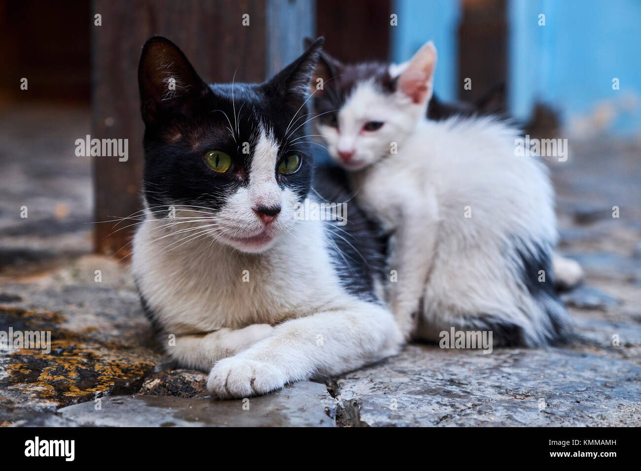 Morocco, Rif area, Chefchaouen (Chaouen) town, the blue city, street ...