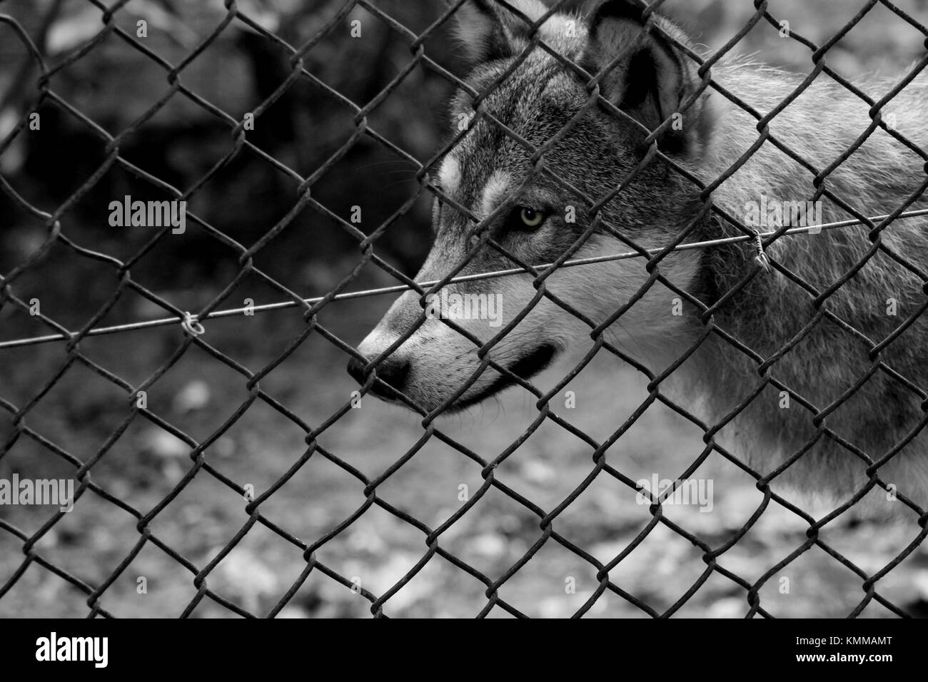 Save foundation hi-res stock photography and images - Alamy