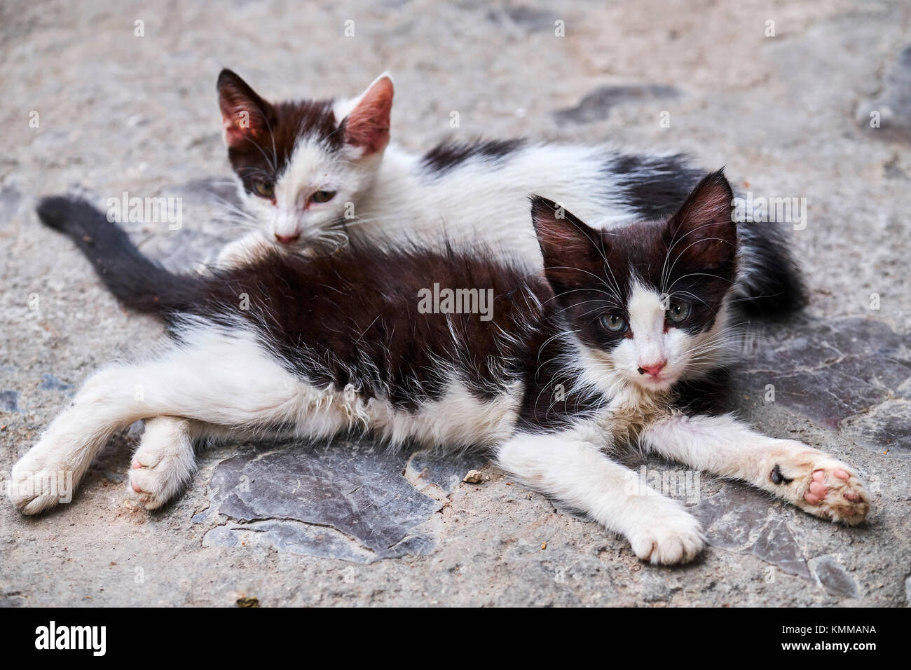 Morocco, Rif area, Chefchaouen (Chaouen) town, the blue city, street ...