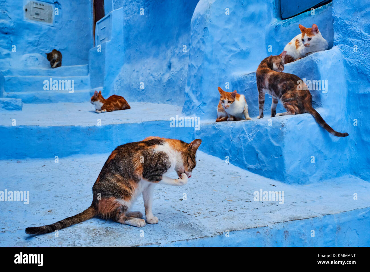 Morocco, Rif area, Chefchaouen (Chaouen) town, the blue city, street ...