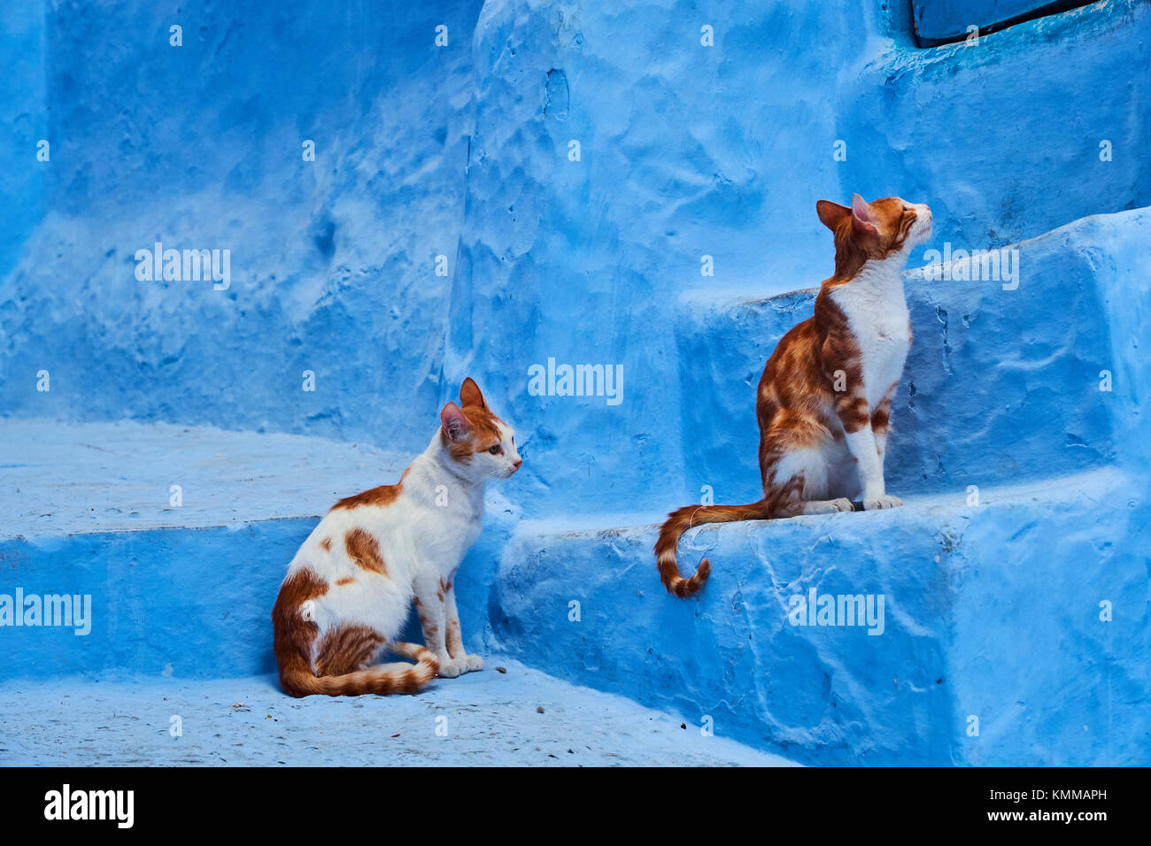 Morocco, Rif area, Chefchaouen (Chaouen) town, the blue city, street ...