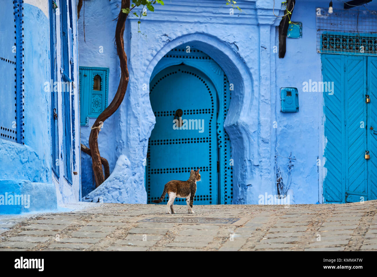 Morocco, Rif area, Chefchaouen (Chaouen) town, the blue city, street ...