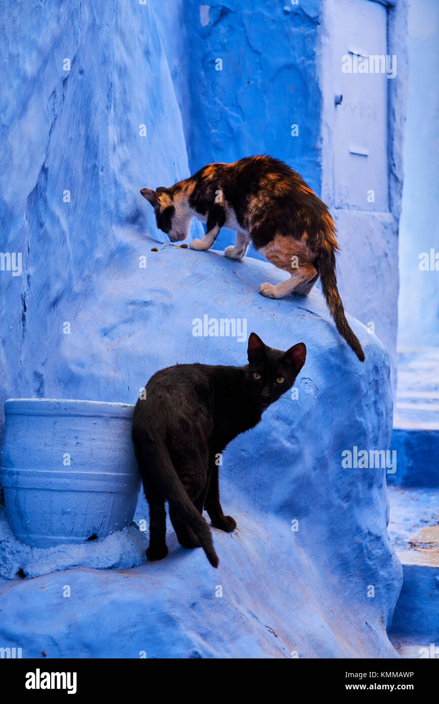 Morocco, Rif area, Chefchaouen (Chaouen) town, the blue city, street ...