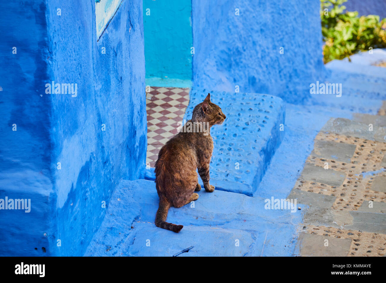 Morocco, Rif area, Chefchaouen (Chaouen) town, the blue city, street ...