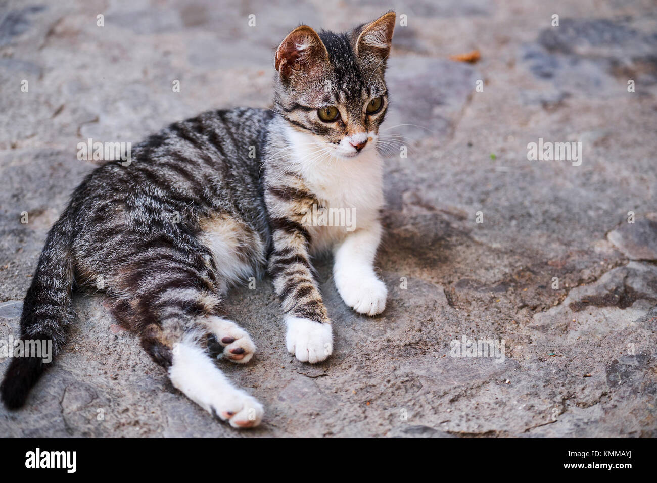 Morocco, Rif area, Chefchaouen (Chaouen) town, the blue city, street ...