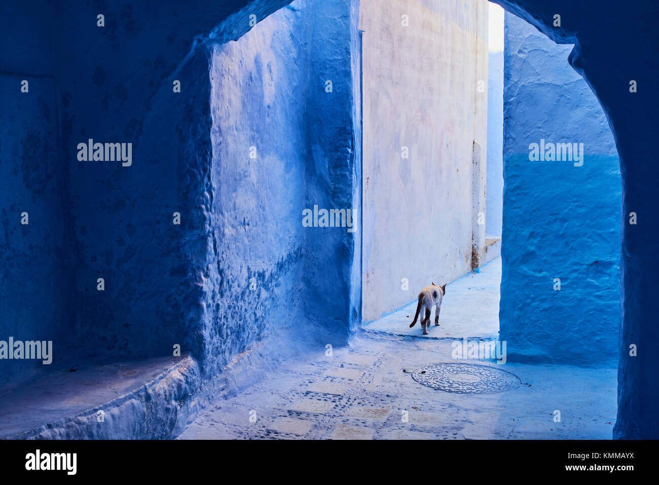 Morocco, Rif area, Chefchaouen (Chaouen) town, the blue city, street ...