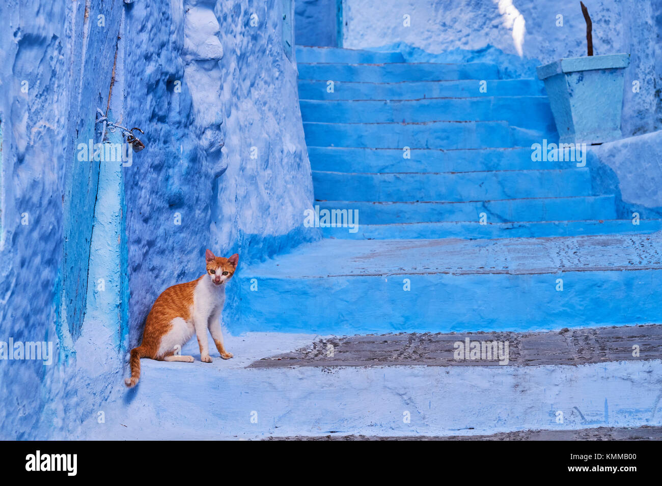 Morocco, Rif area, Chefchaouen (Chaouen) town, the blue city, street ...
