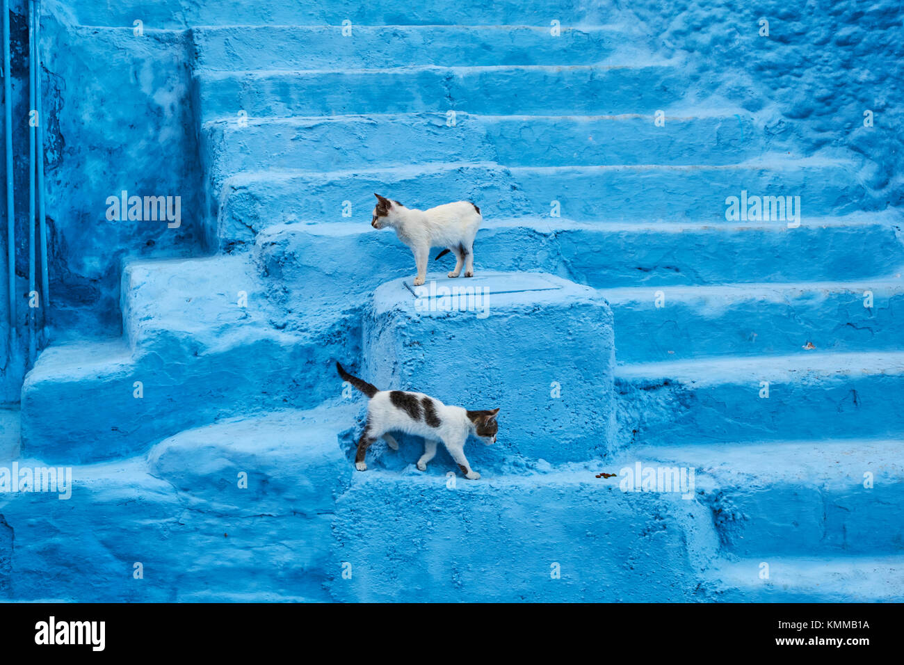 Morocco, Rif area, Chefchaouen (Chaouen) town, the blue city, street ...