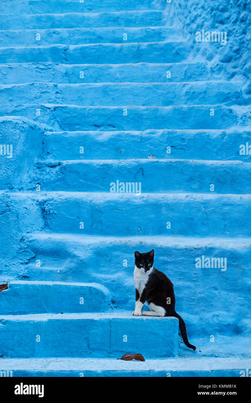 Morocco, Rif area, Chefchaouen (Chaouen) town, the blue city, street ...
