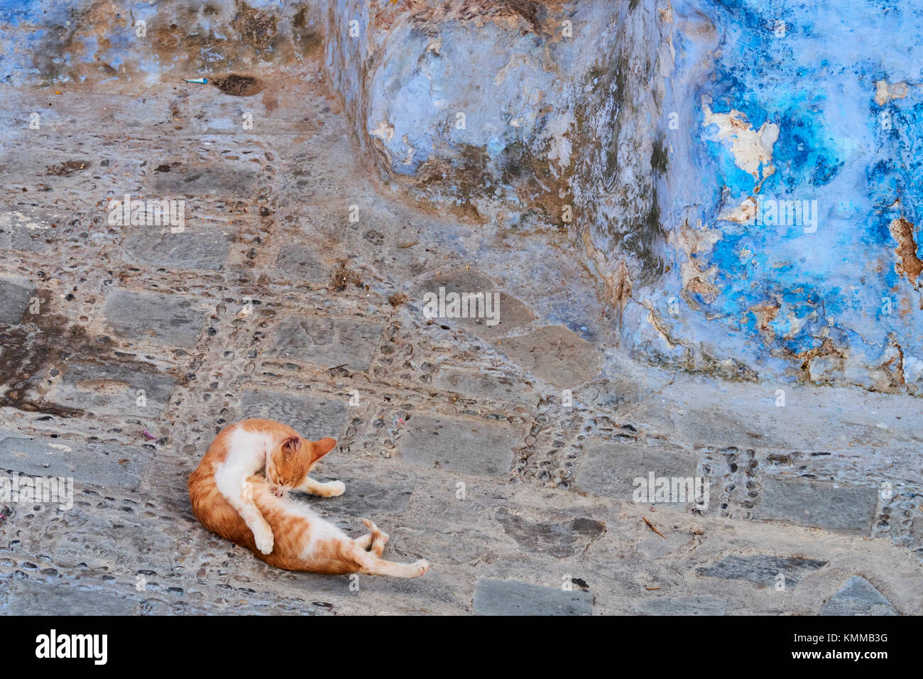 Morocco, Rif area, Chefchaouen (Chaouen) town, the blue city, street ...