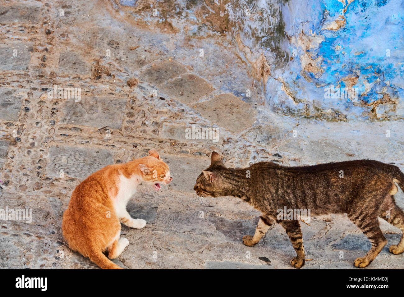 Morocco, Rif area, Chefchaouen (Chaouen) town, the blue city, street ...