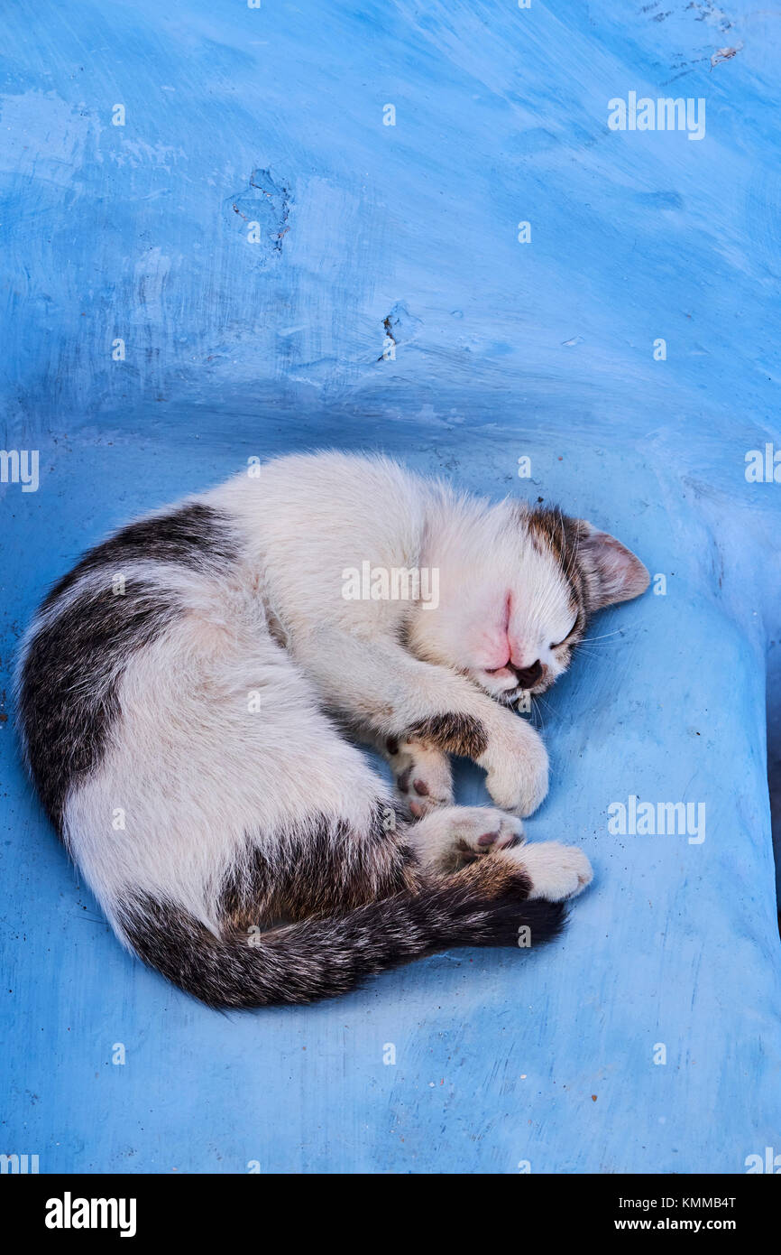 Morocco, Rif area, Chefchaouen (Chaouen) town, the blue city, street ...