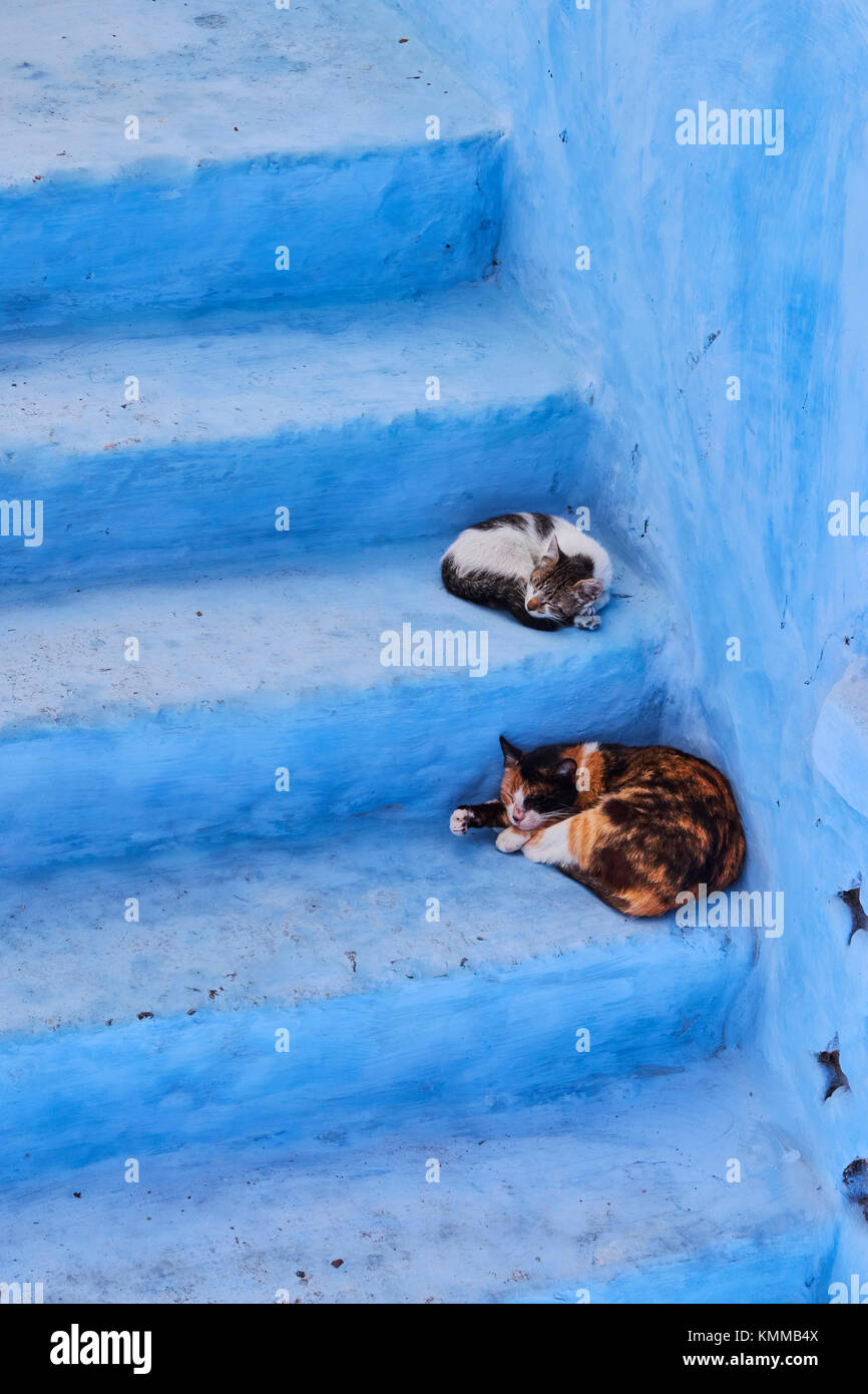 Morocco, Rif area, Chefchaouen (Chaouen) town, the blue city, street ...