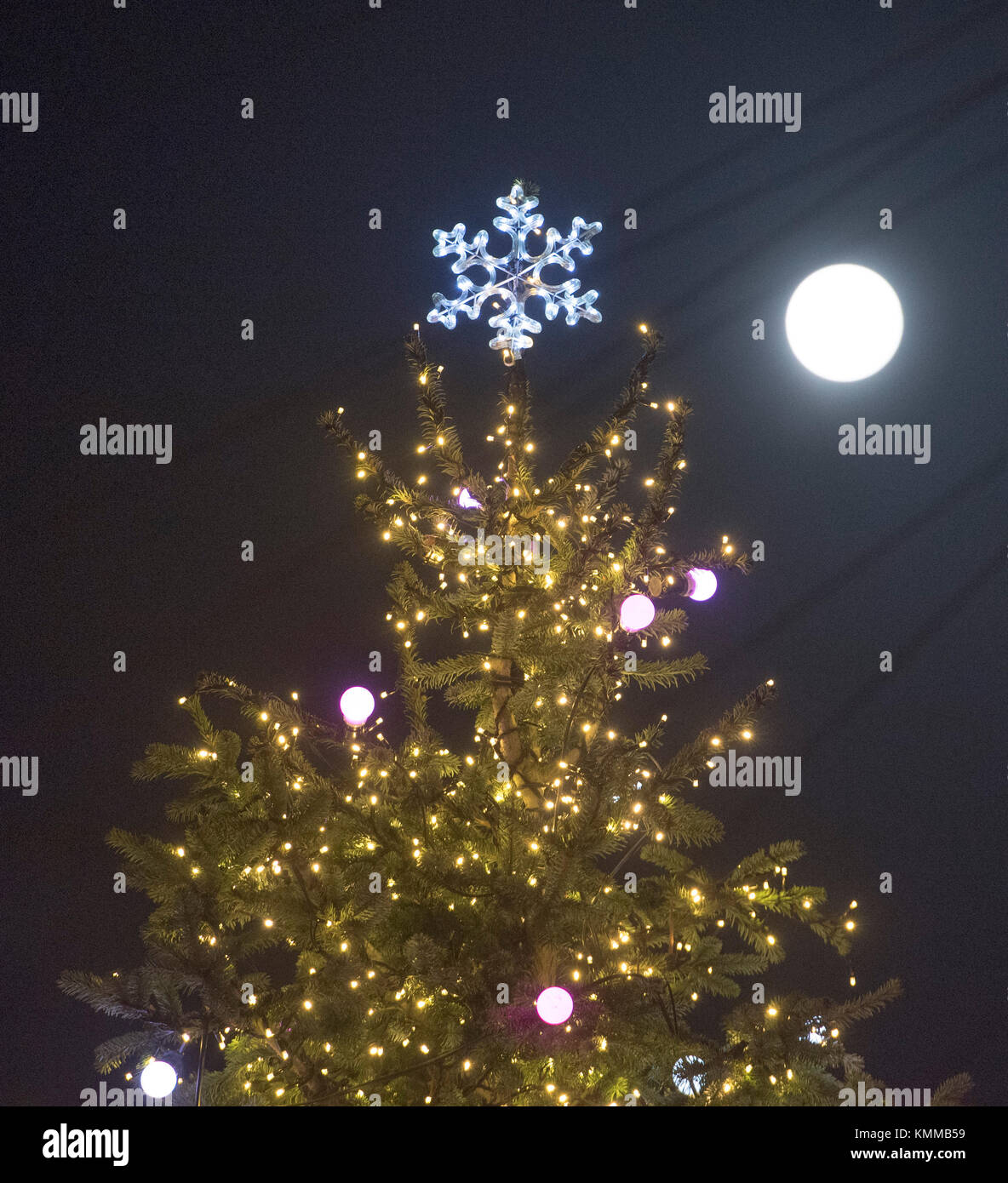 MARIE CURIE MEMORY POWERED CHRISTMAS TREE AT THE LONDON EYE THIS ...