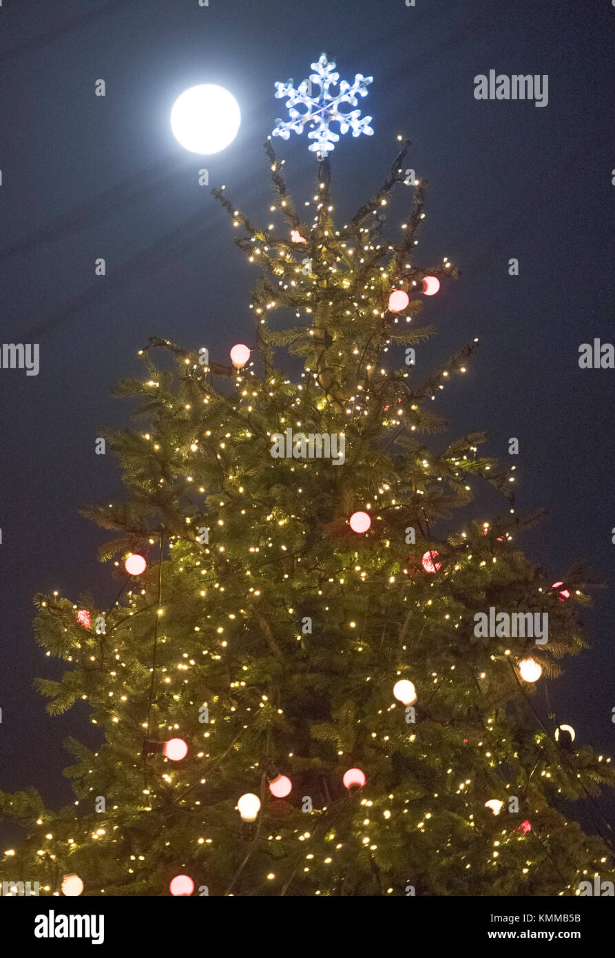 MARIE CURIE MEMORY POWERED CHRISTMAS TREE AT THE LONDON EYE THIS ...