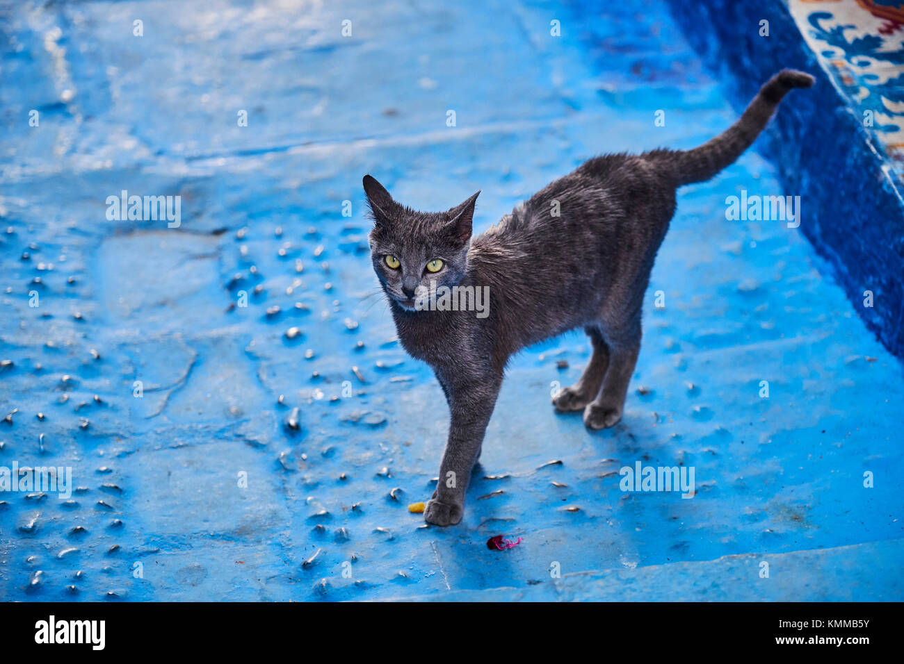 Morocco, Rif area, Chefchaouen (Chaouen) town, the blue city, street ...