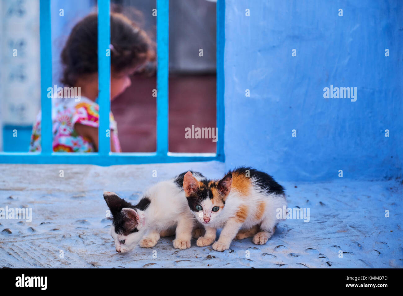 Morocco, Rif area, Chefchaouen (Chaouen) town, the blue city, street ...
