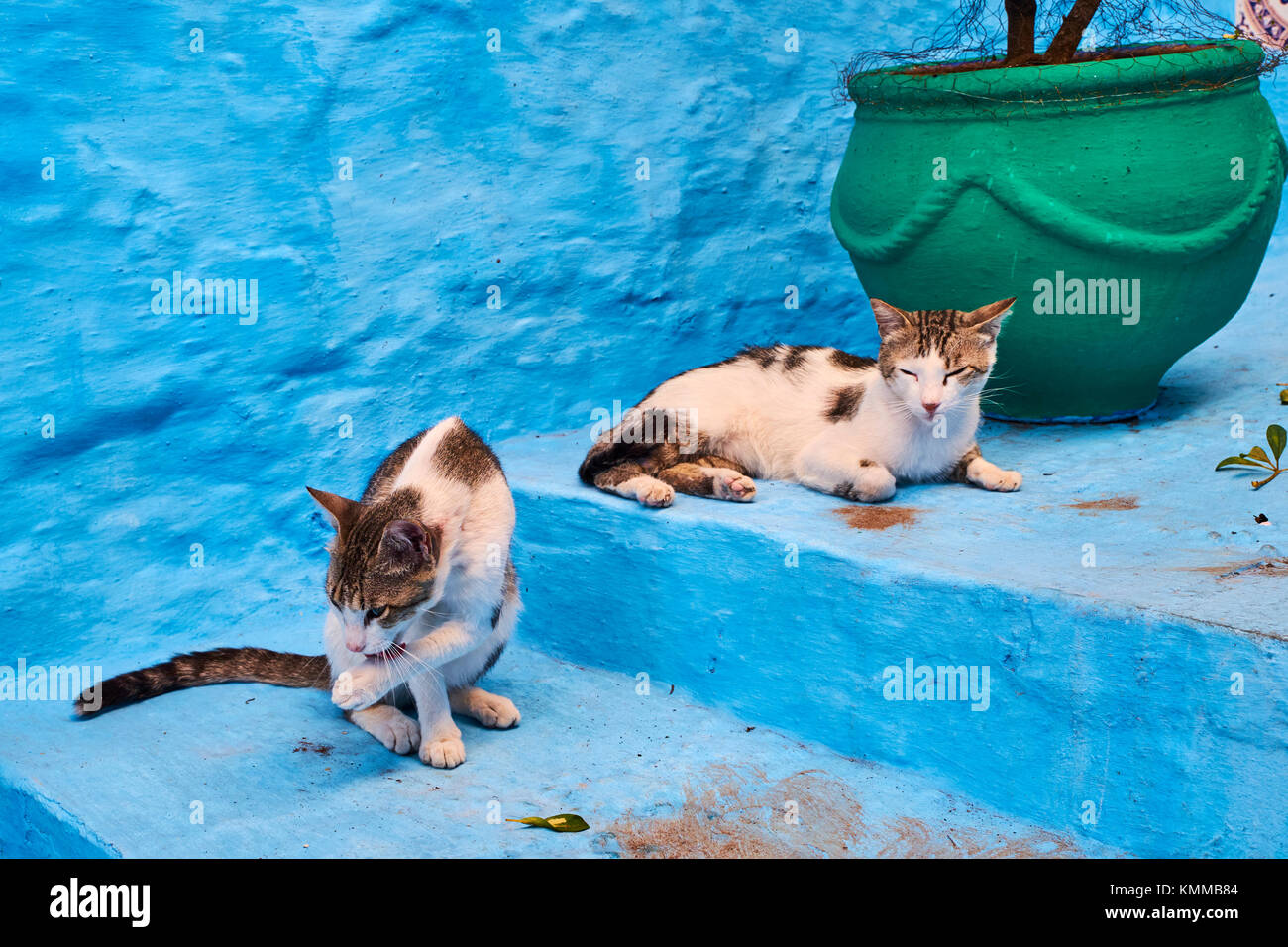 Morocco, Rif area, Chefchaouen (Chaouen) town, the blue city, street ...