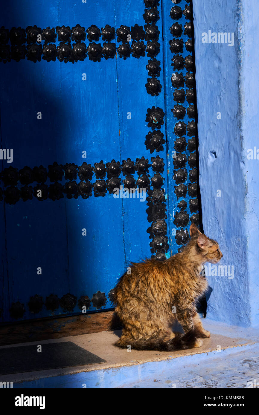 Morocco, Rif area, Chefchaouen (Chaouen) town, the blue city, street ...