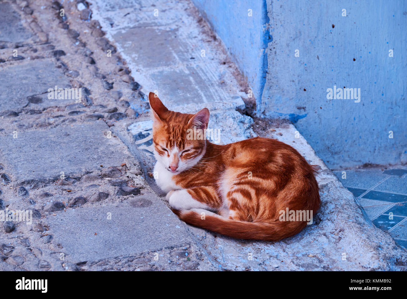 Morocco, Rif area, Chefchaouen (Chaouen) town, the blue city, street ...