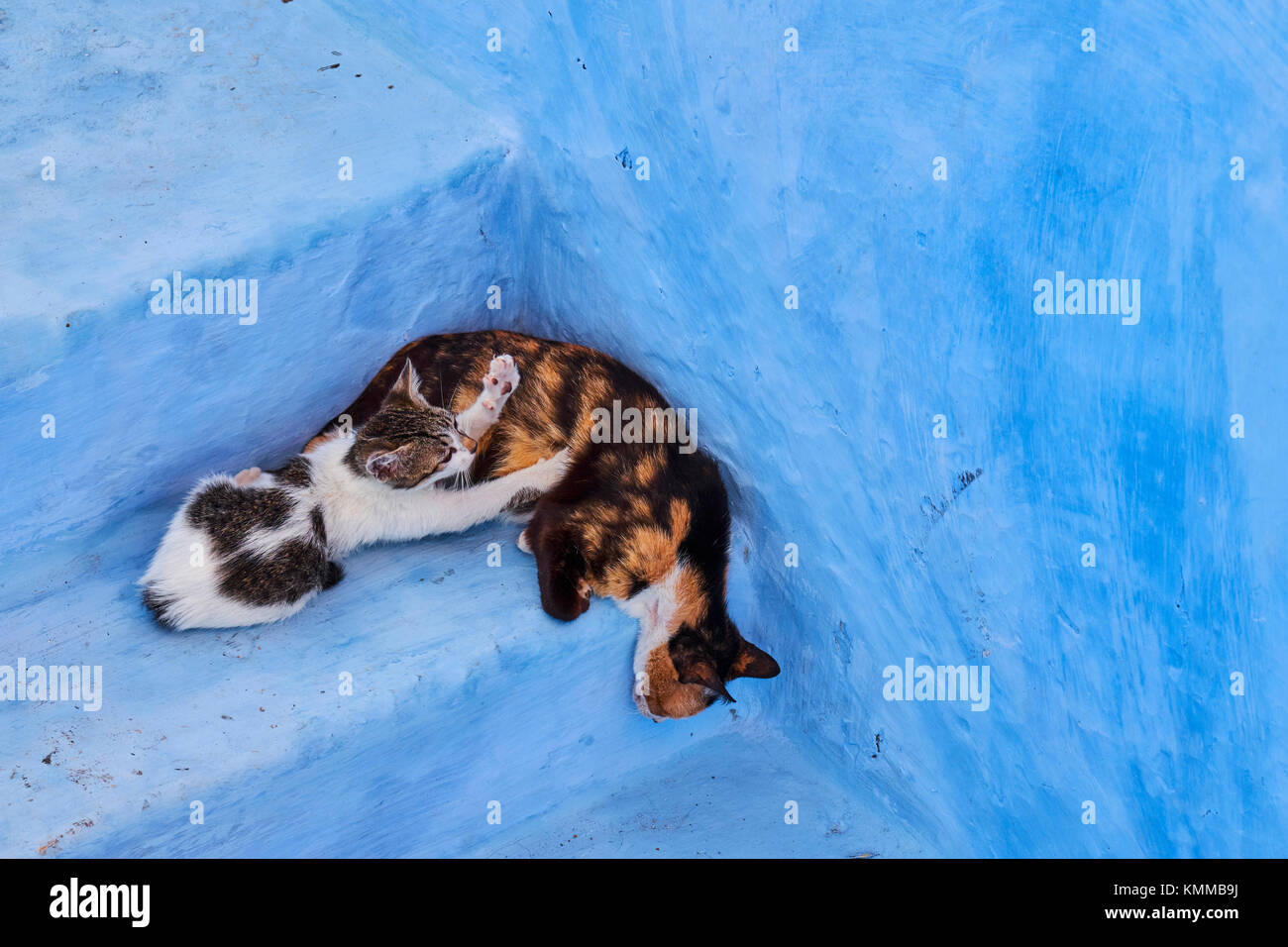 Morocco, Rif area, Chefchaouen (Chaouen) town, the blue city, street ...