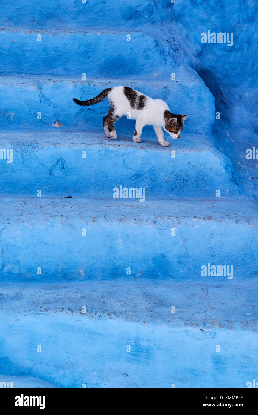 Morocco, Rif area, Chefchaouen (Chaouen) town, the blue city, street ...