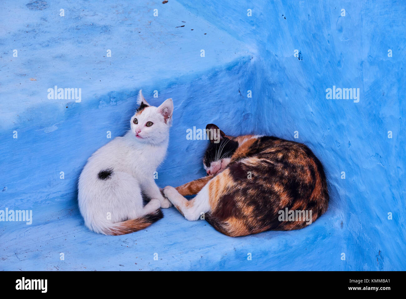Morocco, Rif area, Chefchaouen (Chaouen) town, the blue city, street ...