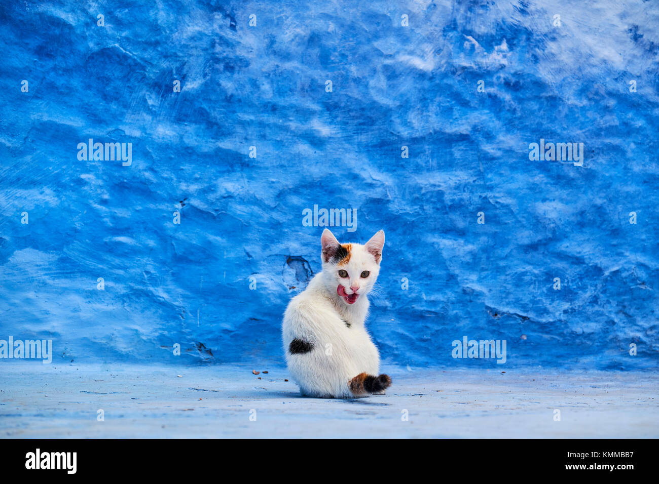 Morocco, Rif area, Chefchaouen (Chaouen) town, the blue city, street ...
