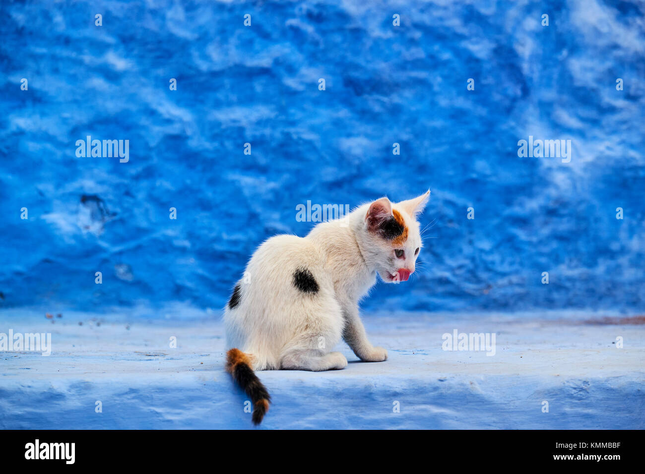 Morocco, Rif area, Chefchaouen (Chaouen) town, the blue city, street ...